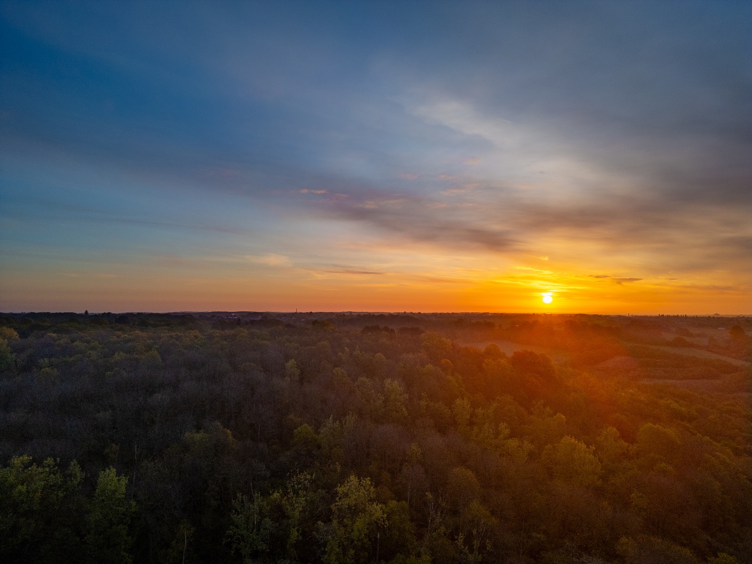 The Steamy forest... | DJI FORUM